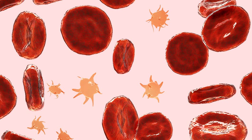 Plaquetas, para que precisamos delas? - Cardio 365º